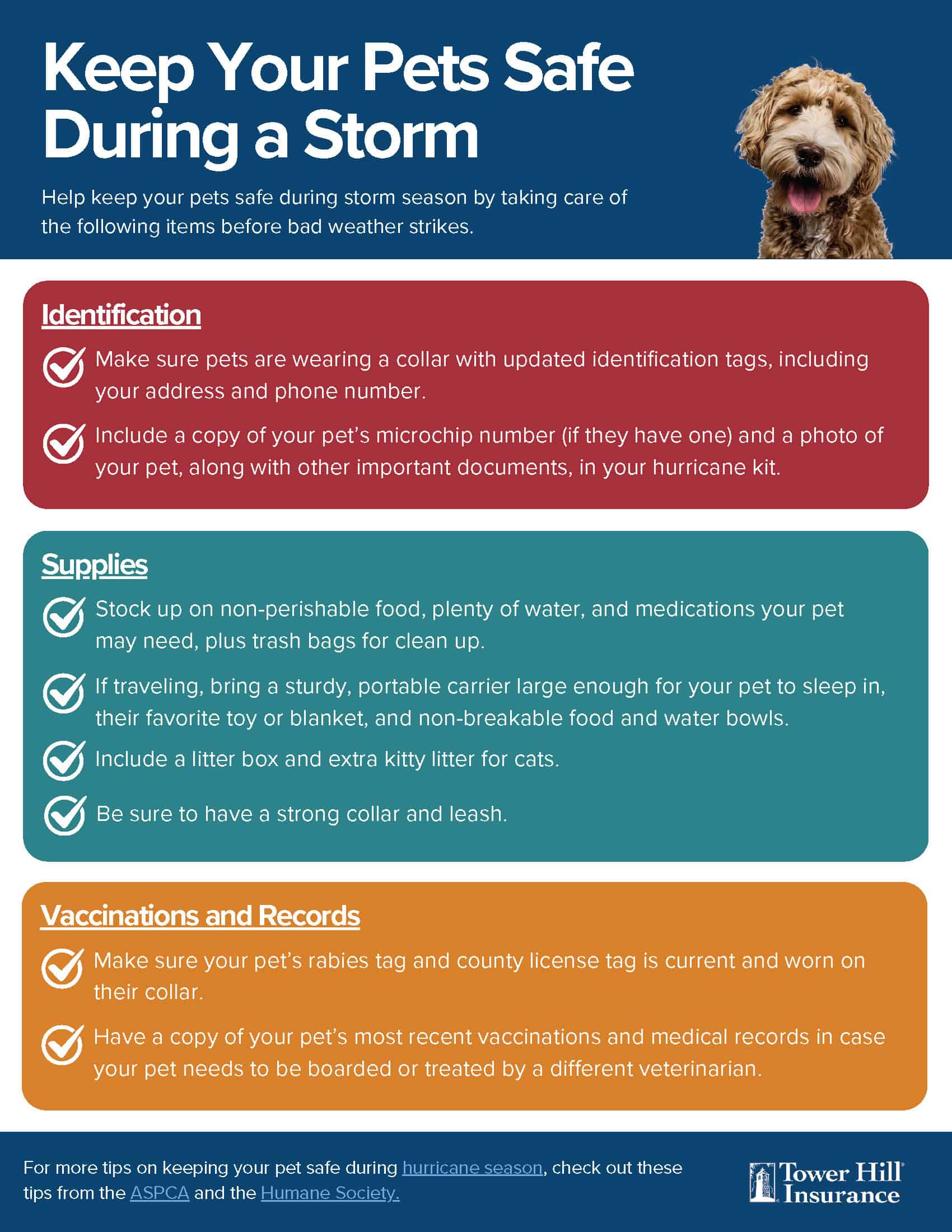 Keep Your Pet Safe During a Storm - Tower Hill Insurance