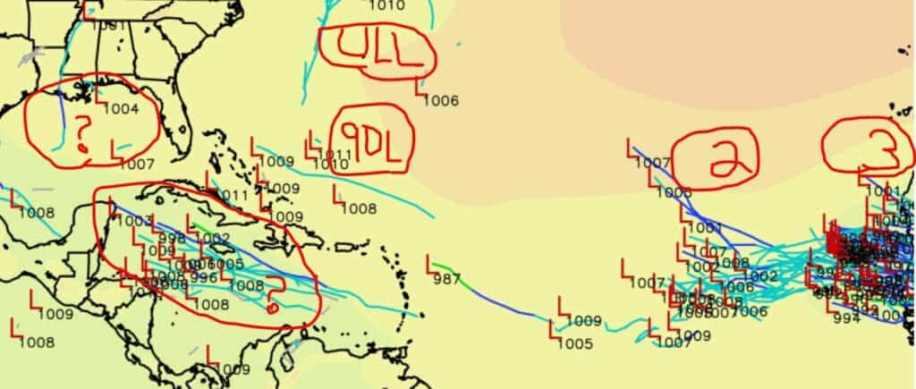 MDR Blobbing up | CAT365 - Tower Hill Insurance